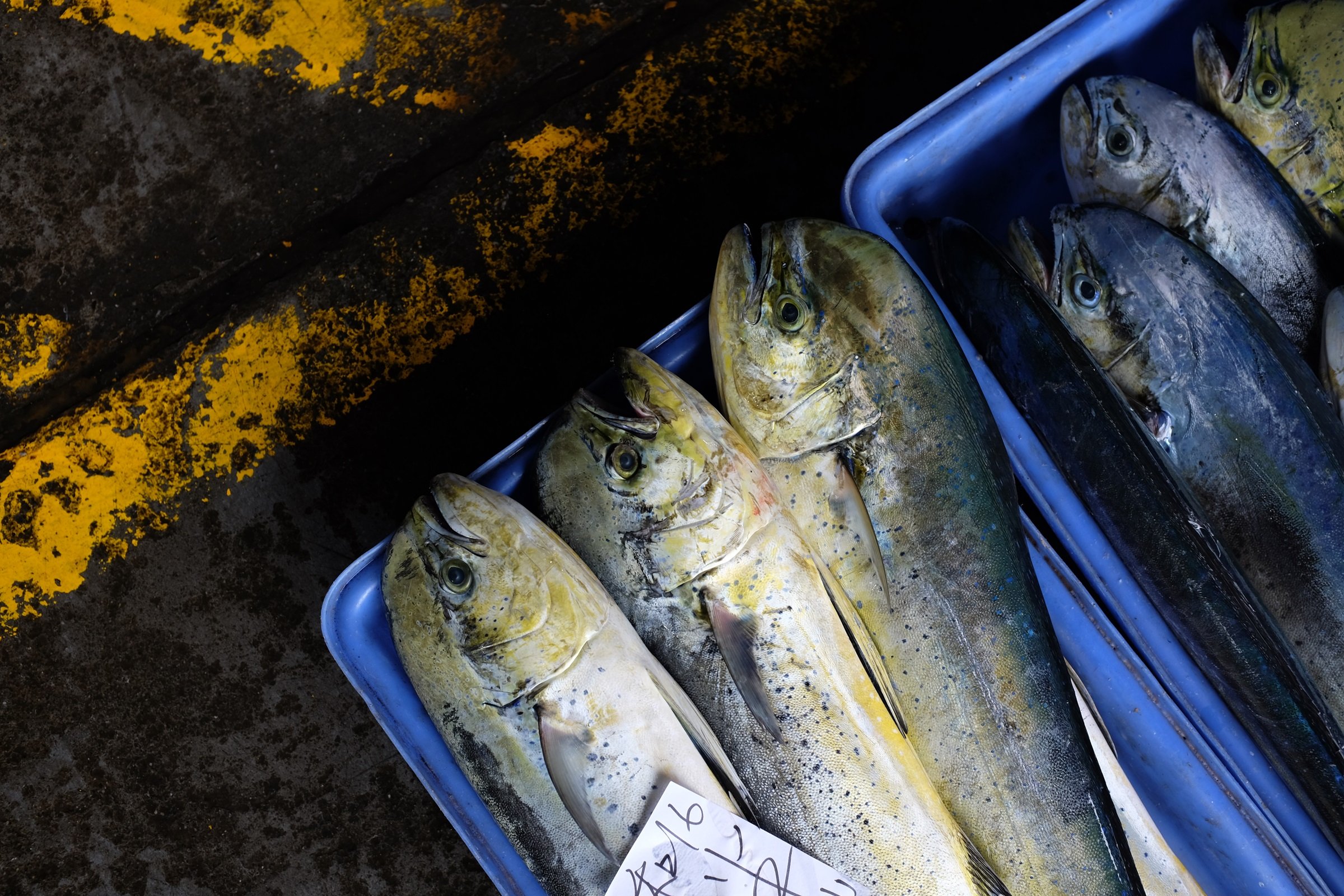 臺灣食材國際發光！Sinasera 24 法式餐廳聯手新加坡 Iru Den 推文化主題餐會 - Taster 美食加